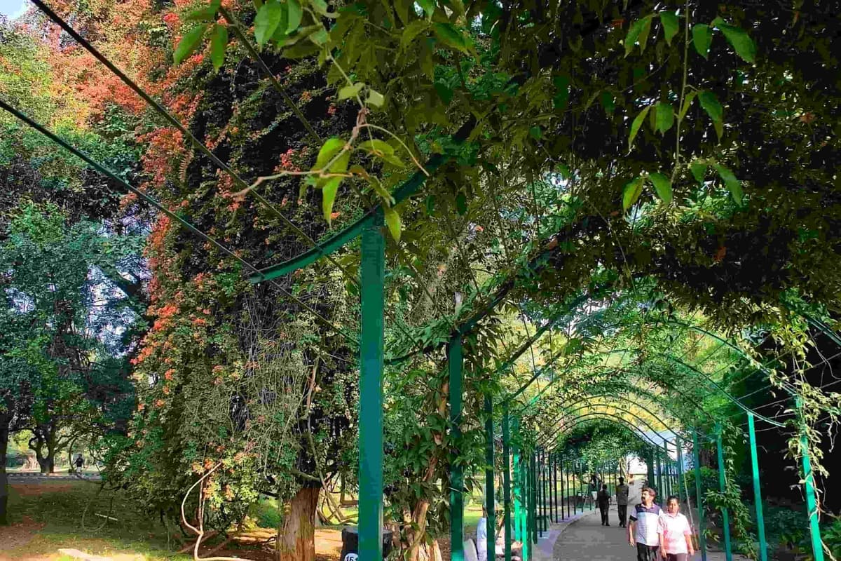 Lalbagh Botanical Garden - Karnataka Tourism