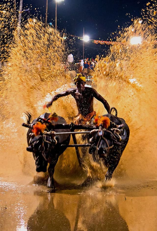 Festivals, Fairs & Cultural Events